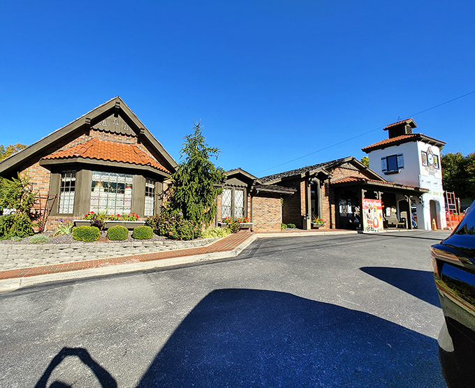 Oktoberfest meets Midwest charm at Schnitzelbank. It's like stepping into a fairy tale, but with better beer and no evil stepmothers.