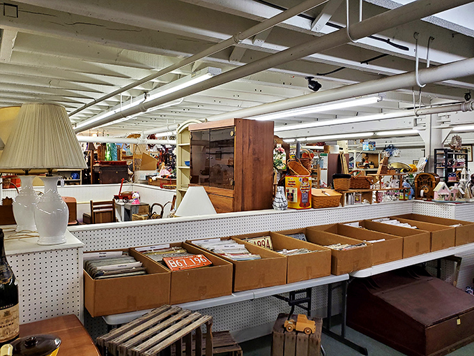 Vinyl lovers, rejoice! These crates are a time machine for your turntable. Let the nostalgic needle drops begin!