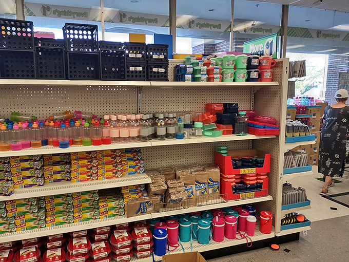 Storage solutions galore! From colorful containers to practical baskets, organizing your life has never been so affordable.