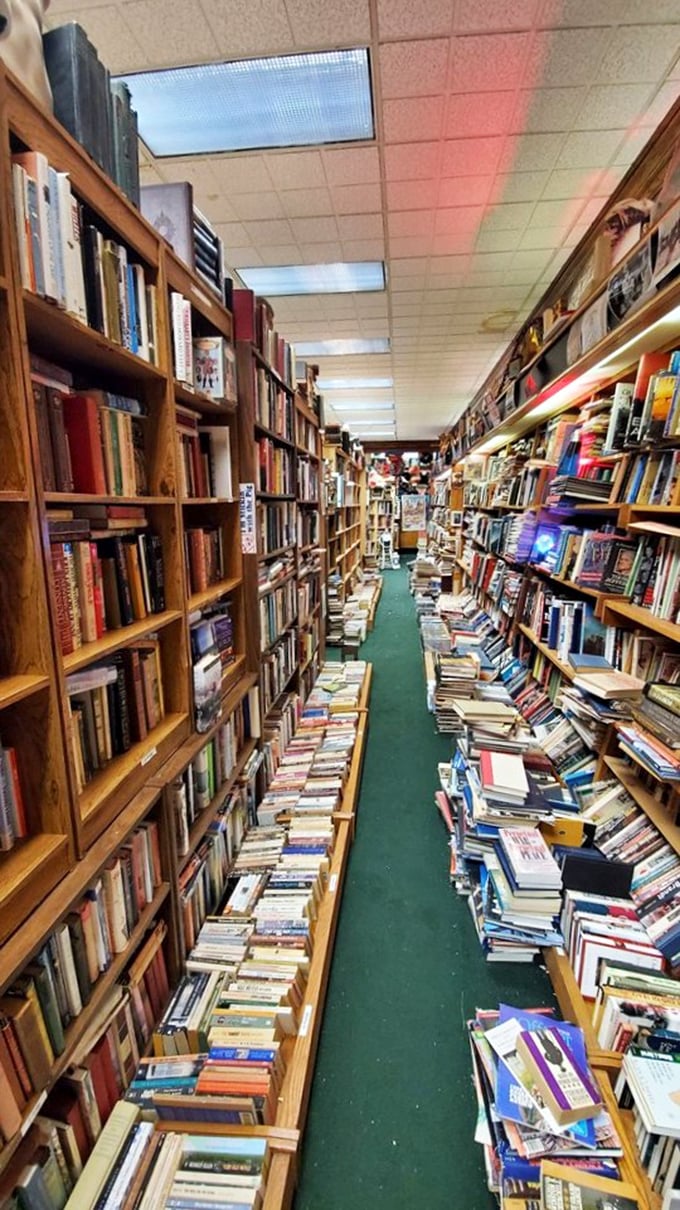 Book Tetris, anyone? These shelves are a masterclass in literary Jenga, defying gravity and common sense in equal measure.