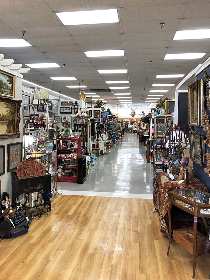 Endless possibilities await! These aisles are a labyrinth of memories, where one person's past becomes another's future conversation piece.