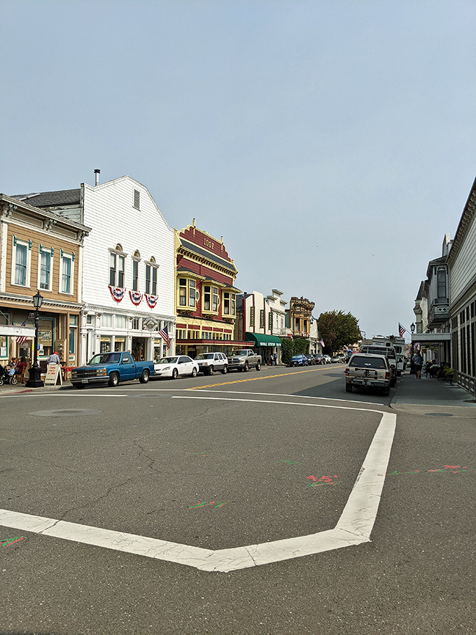 Ferndale's downtown: Where parking meters are optional, and charm is mandatory. It's like Main Street USA, but with better ice cream.