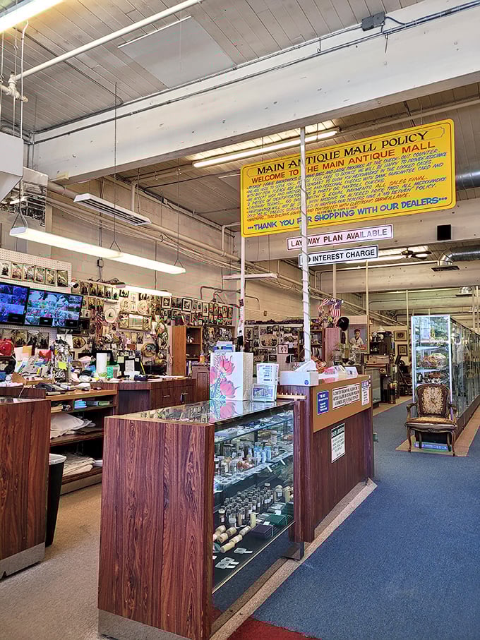 Behold the Narnia of nostalgia! This sprawling interior is where memories and collectibles collide in a beautiful chaos.