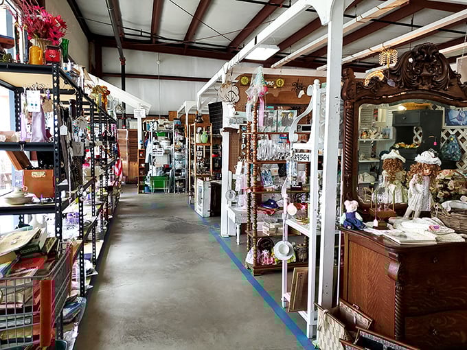 Aladdin's cave meets your grandma's attic in this treasure trove. Who needs a magic lamp when you've got endless shelves?