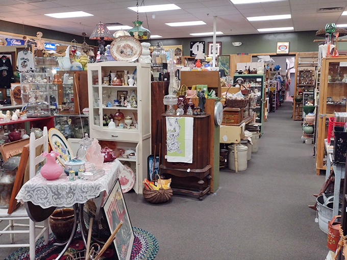 Nostalgia overload! This aisle is a kaleidoscope of memories, from kitschy kitchen gadgets to that lamp your parents swore was "modern" in 1975.