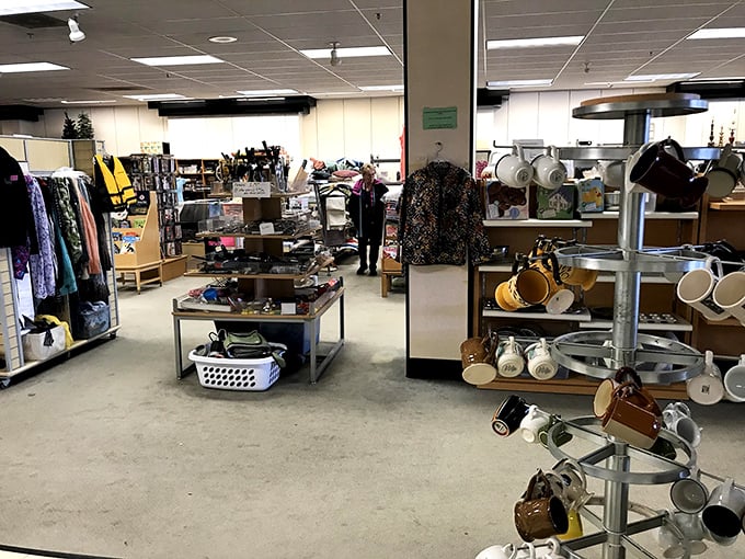 Step into a time capsule of tchotchkes! This aisle is a fascinating jumble of yesterday's must-haves and tomorrow's vintage treasures.