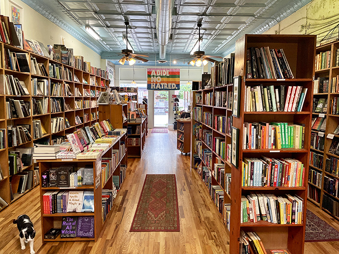 Bookworm heaven alert! Rows of shelves beckon, each aisle a new chapter waiting to be explored.