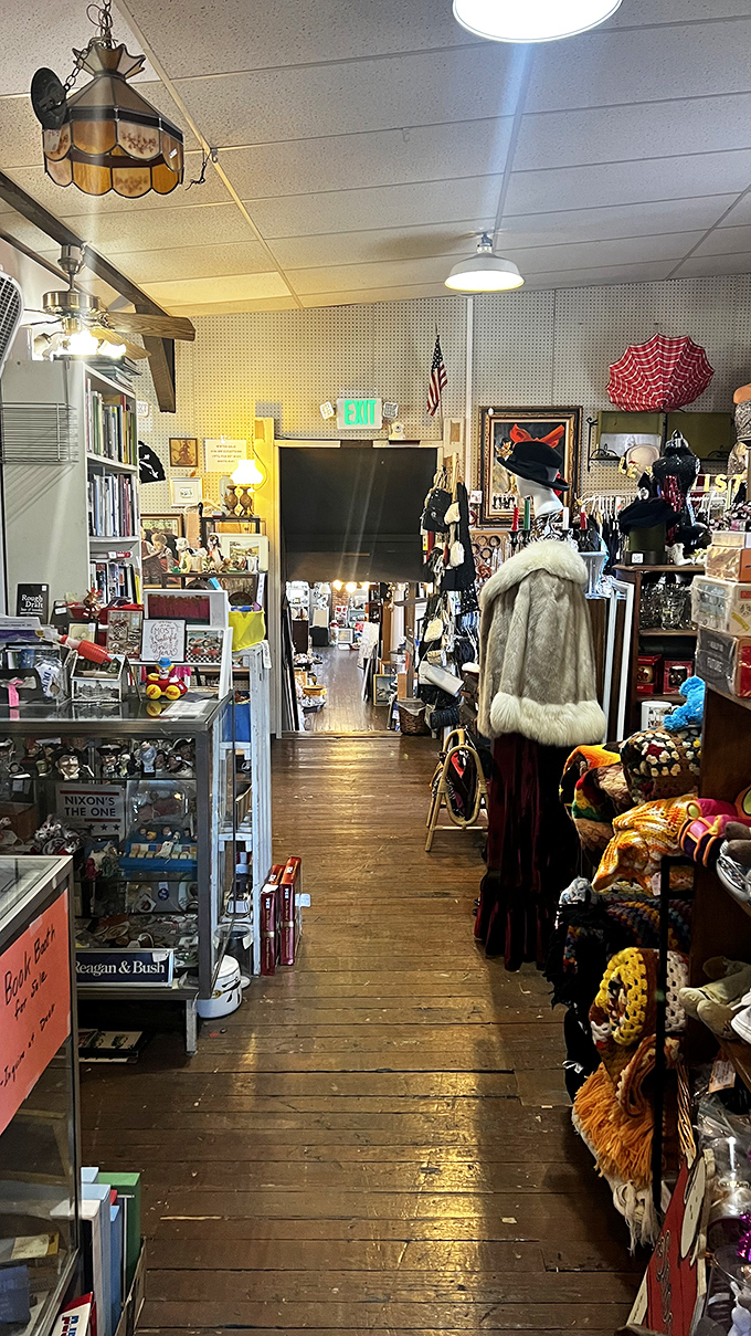 Indiana Jones, eat your heart out! This adventure doesn't require a whip, just a keen eye for hidden gems among the carefully curated chaos.