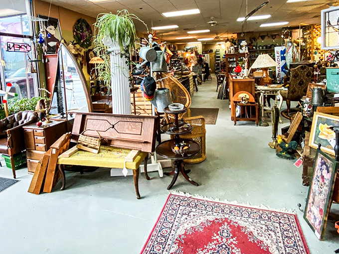 Step into a kaleidoscope of memories! This treasure trove could make the Smithsonian jealous &ndash; and probably a bit cluttered.