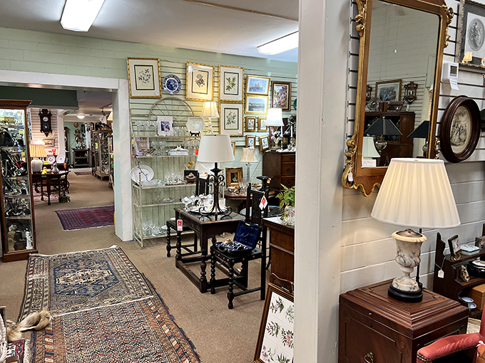 "A kaleidoscope of yesteryear!" This interior shot showcases a dizzying array of vintage delights. It's like your grandma's attic had a love child with a museum.