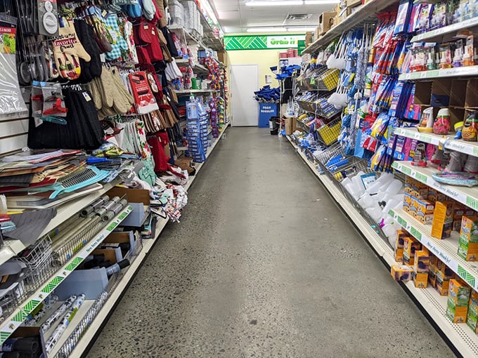 Aisles of possibility stretch before you, where everyday necessities mingle with unexpected finds like old friends at a reunion.