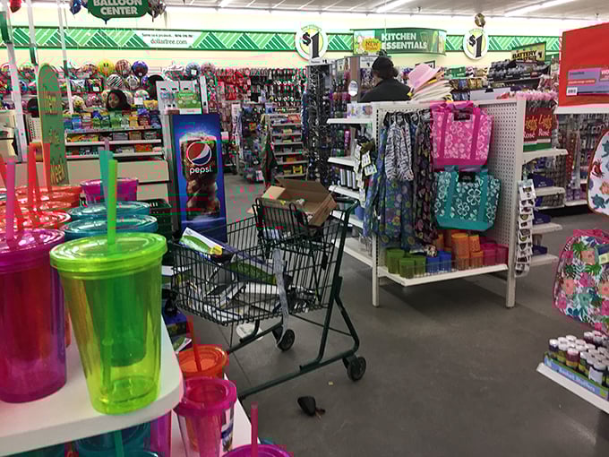 Navigating these aisles is like a choose-your-own-adventure book where every ending costs exactly one dollar.