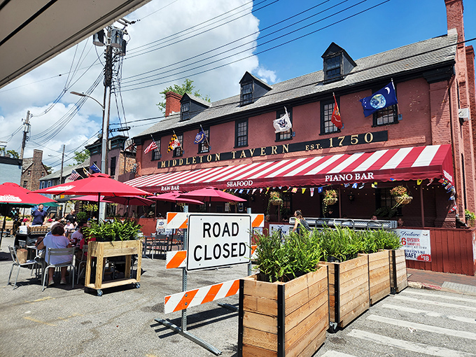 Middleton Tavern: Where seafood dreams come true! This historic spot serves up crab cakes that could make a mermaid jealous.