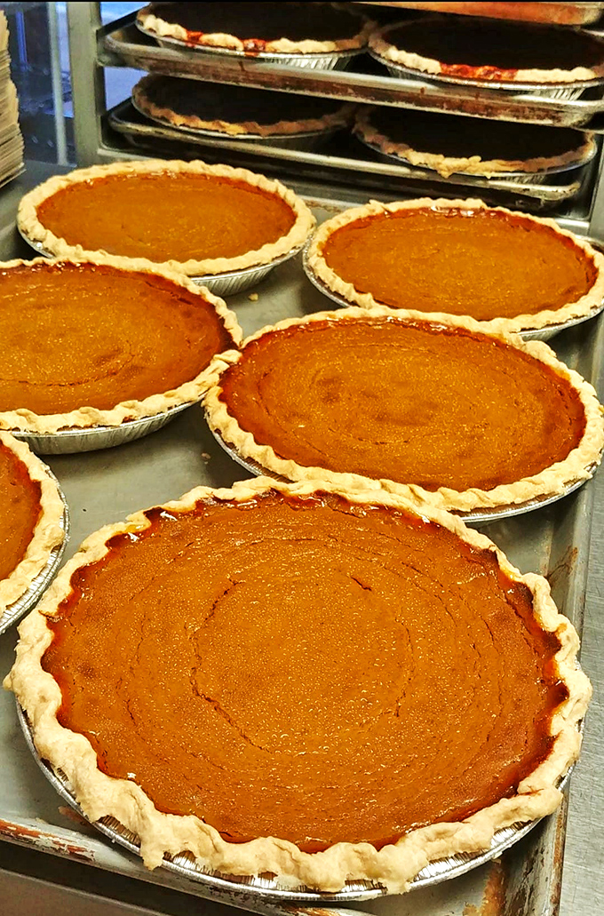 Pumpkin pie perfection! These golden beauties are so good, you'll be tempted to skip the turkey and go straight for dessert.