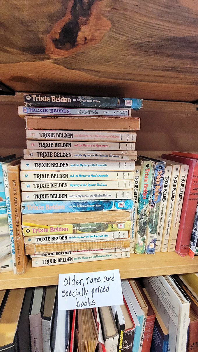 Trixie Belden: the Nancy Drew for those who like their mysteries with a side of sass and small-town charm.