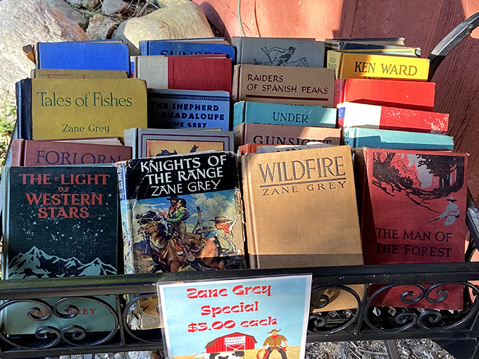 Saddle up, pardners! This Zane Grey collection is wilder than the Old West. At $3 a pop, you can afford to ride off into the sunset.