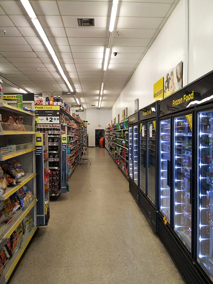 The frozen food aisle stretches into infinity, promising budget-friendly meals that won't freeze your bank account along with your dinners.