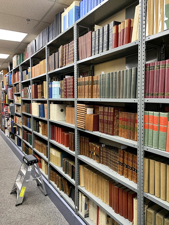 Leather-bound time machines line these shelves. Each book a portal to another era, ready to whisk you away faster than Doc Brown's DeLorean.