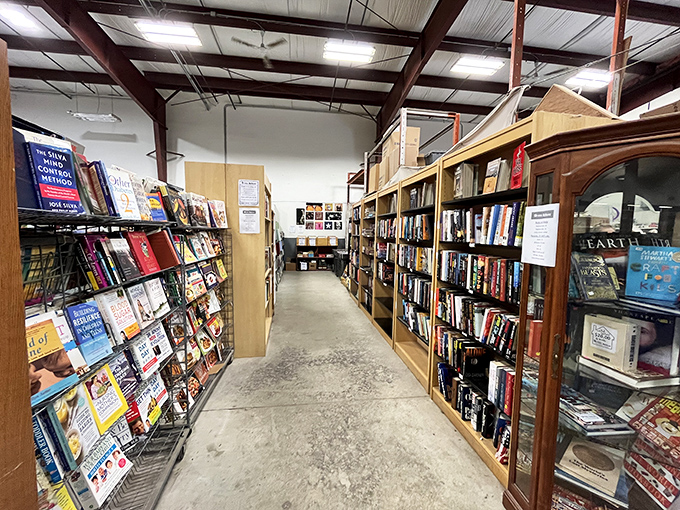 Bookworms, rejoice! This literary labyrinth is where forgotten classics and hidden gems come to find their forever homes.