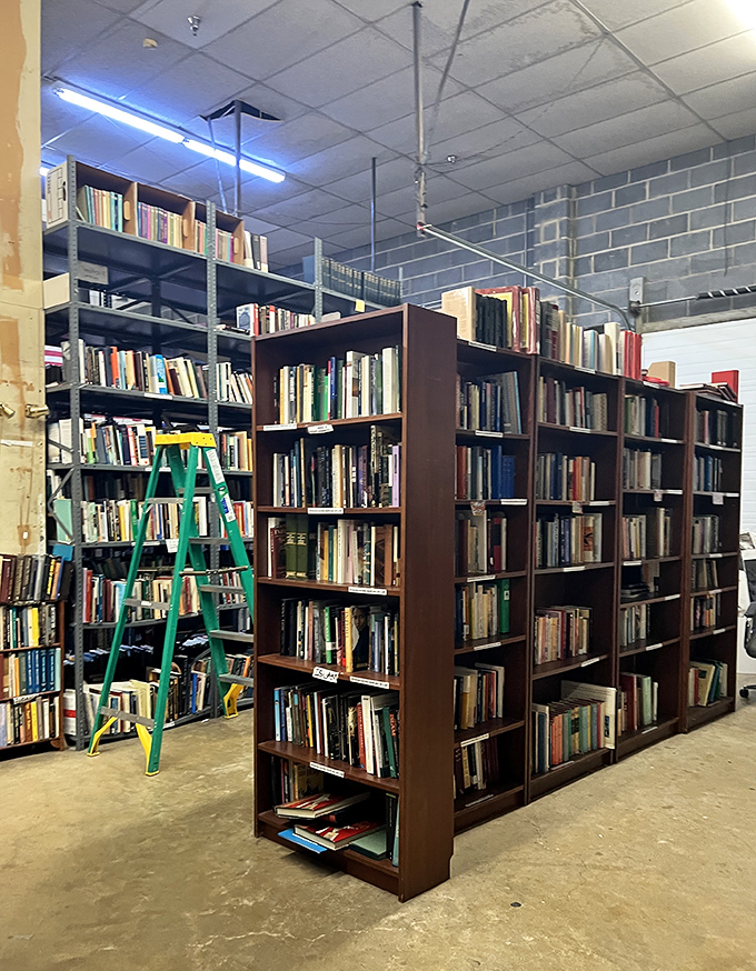 Shelf life takes on a whole new meaning here. These towering bookcases are like skyscrapers in a city of stories.