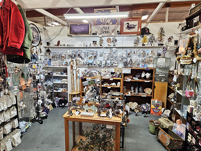 A cornucopia of curiosities! From kitschy knick-knacks to potential family heirlooms, this display is a feast for the eyes and a test for your willpower.