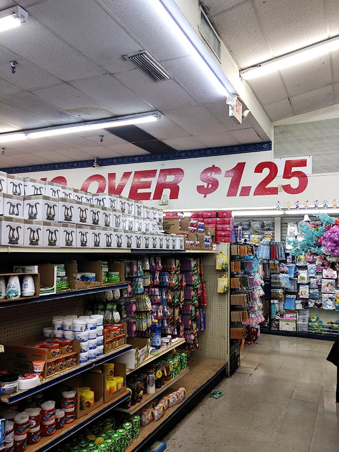 "Nothing over $1.25" isn't just a slogan, it's a way of life. Imagine if Willy Wonka ran a discount store instead of a chocolate factory.