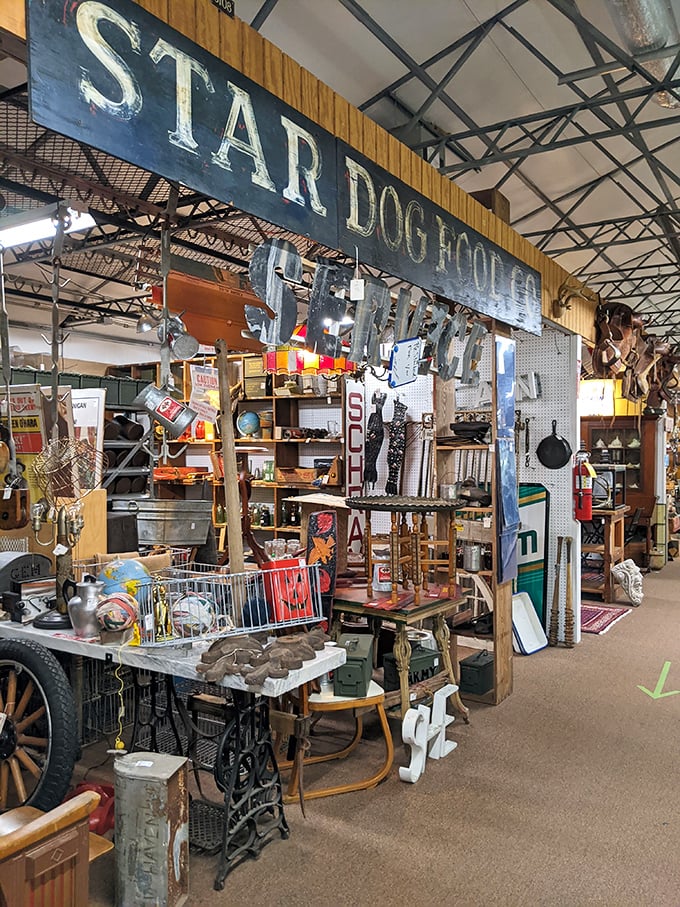 "Star Dog Food" - because even in the past, our four-legged friends deserved the Hollywood treatment. A feast for the eyes and nostalgia.