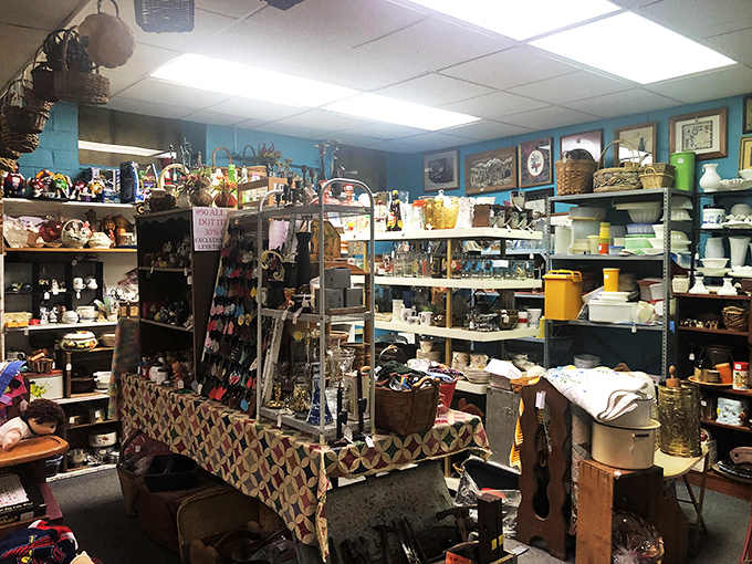 Organized chaos or chaotic organization? Either way, these displays are a feast for the eyes and a playground for the imagination.