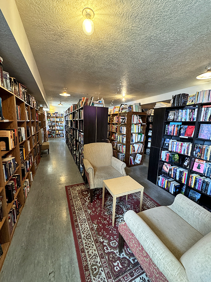 Cozy nooks and endless books – it's like your dream library came to life, minus the stern librarian shushing you.