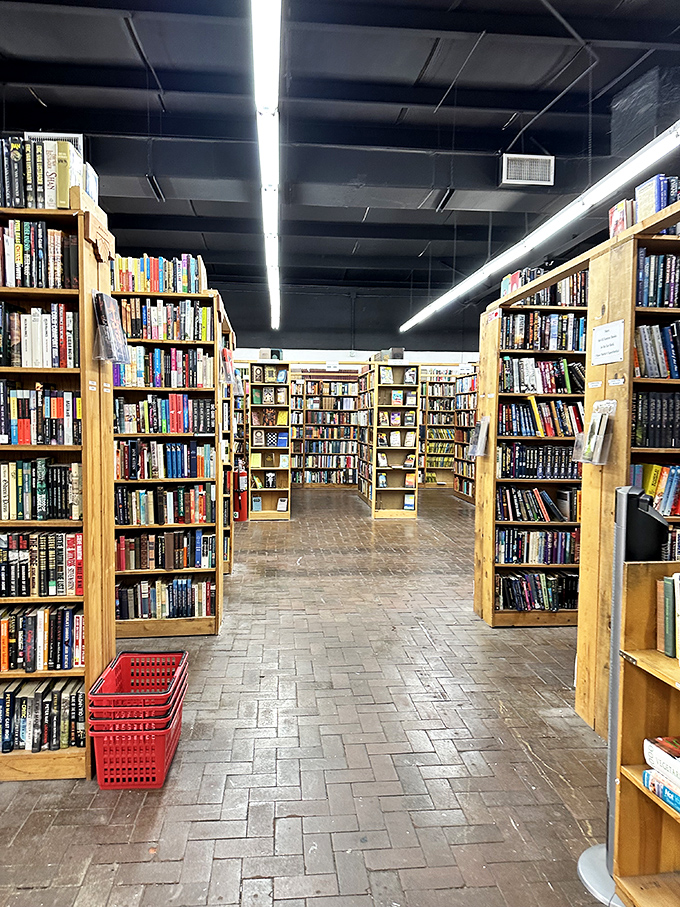 "I'm going in!" you'll exclaim as you dive into this labyrinth of literature. Just remember to leave breadcrumbs for your way back.