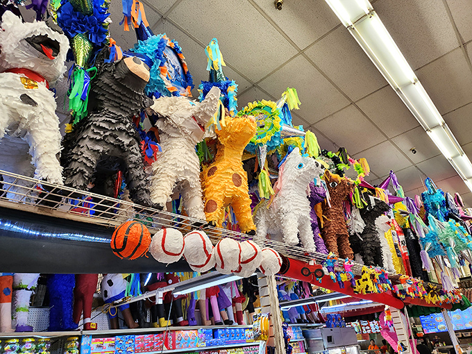 Pi&ntilde;ata paradise! These festive paper-m&acirc;ch&eacute; creations hang like colorful stalactites, waiting to shower lucky kids with candy and memories.