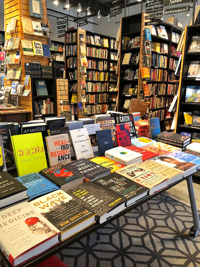 A feast for the mind awaits! From Atwood to Zaf&oacute;n, this smorgasbord of books offers something to satisfy every intellectual appetite.