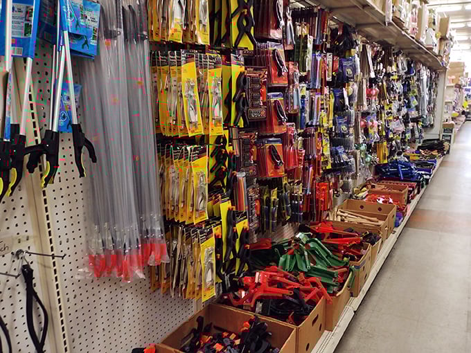 DIY enthusiasts, rejoice! This aisle is like a candy store for grown-ups who love to tinker, fix, and create their own magic.