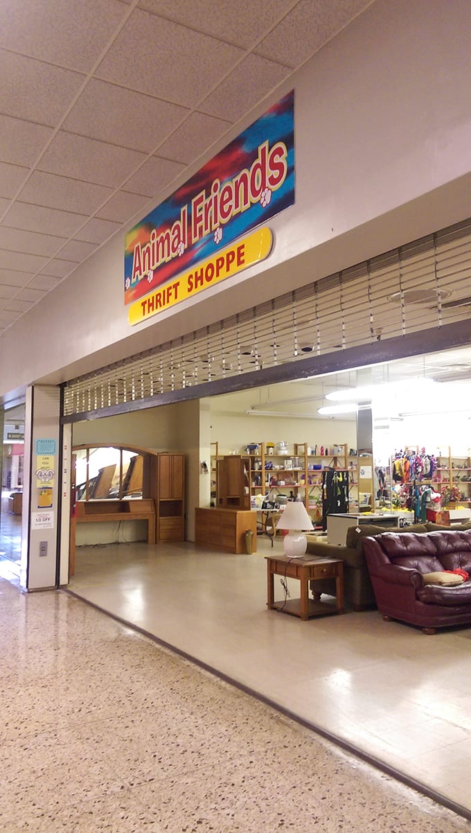 Animal Friends Thrift Shoppe: Where retail therapy meets pet philanthropy. Dive into racks of clothing and seas of knick-knacks for guilt-free shopping. 