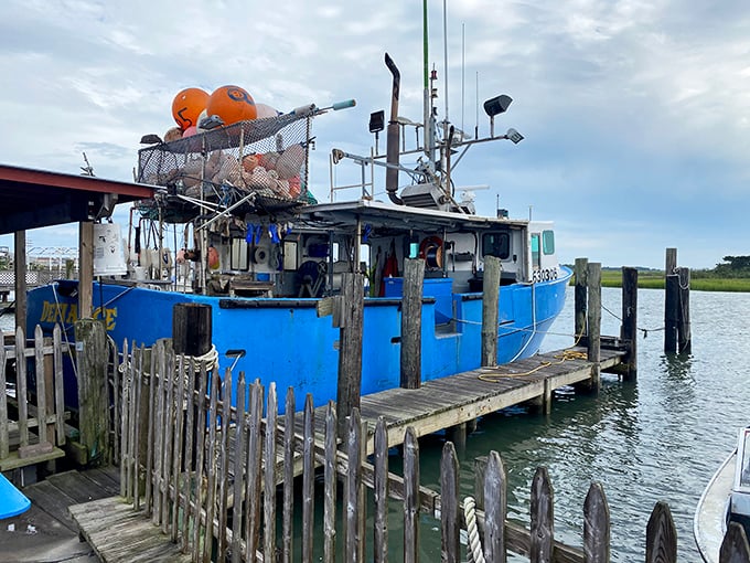 Hooked Up Seafood: where 'boat to table' is measured in feet, not miles. It's like the ocean decided to open a restaurant!