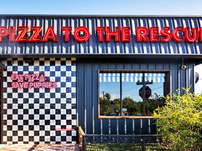 "Pizza To The Rescue" isn't just clever wordplay—it's a mission statement wrapped in cheese and good intentions. Puppies and pizza? I'm sold.