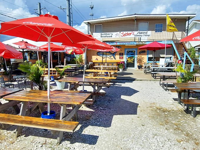 Seither's Seafood: Where every meal feels like a backyard party. Those red umbrellas are basically a bat-signal for hungry folks.