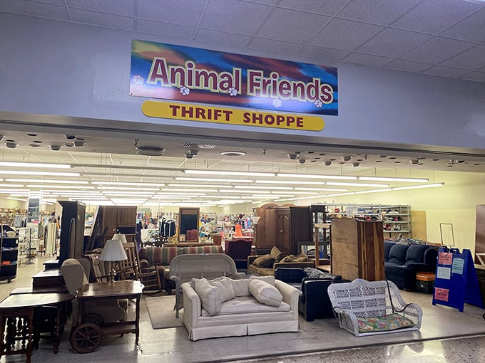 A plush paradise awaits! Animal Friends Thrift Shoppe's toy section is like Toy Story come to life, minus the existential crises.