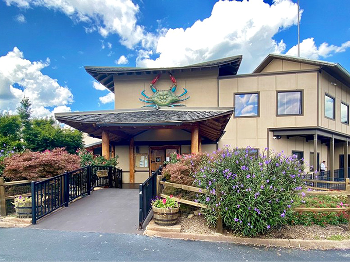 Japanese-inspired roof meets coastal vibes. It's like a sushi roll wrapped in a beach towel &ndash; unexpected, but delightful!