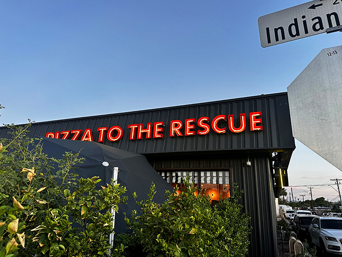 That bold blue exterior with its checkered pattern stands out like a pizza rebel with a cause—saving animals one delicious slice at a time.