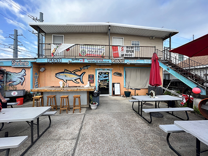 Fish murals and picnic tables? Seither's is the cool, artsy cousin of seafood joints. Bet their hush puppies don't talk back!