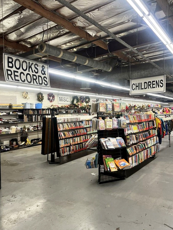 Bookworms, prepare to get lost! This literary labyrinth is where bestsellers mingle with forgotten gems. Time to judge some books by their covers!