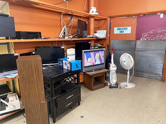 Gadget graveyard or tech time machine? This aisle is where obsolete meets opportunity for the savvy shopper with a penchant for nostalgia.