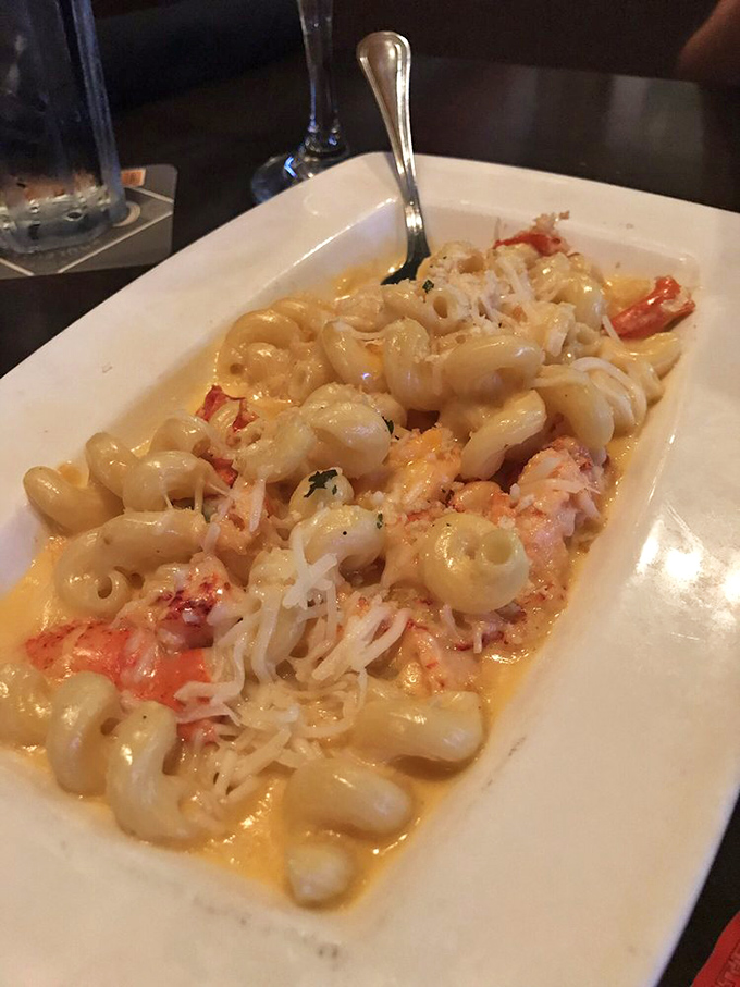 Lobster mac and cheese that makes you question why you ever settled for the boxed stuff. Ocean meets creamery in pasta paradise.