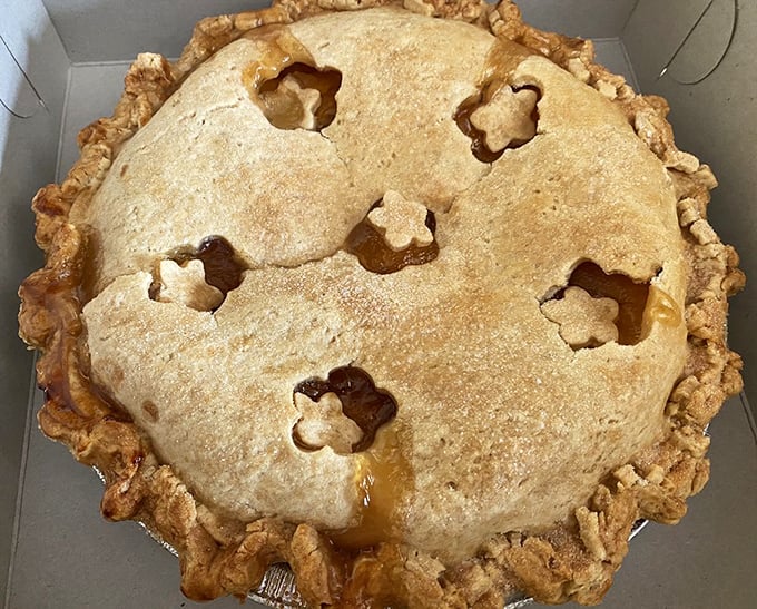 Golden, flaky, and bursting with fruity goodness. This peach pie looks like summer sunshine on a plate.