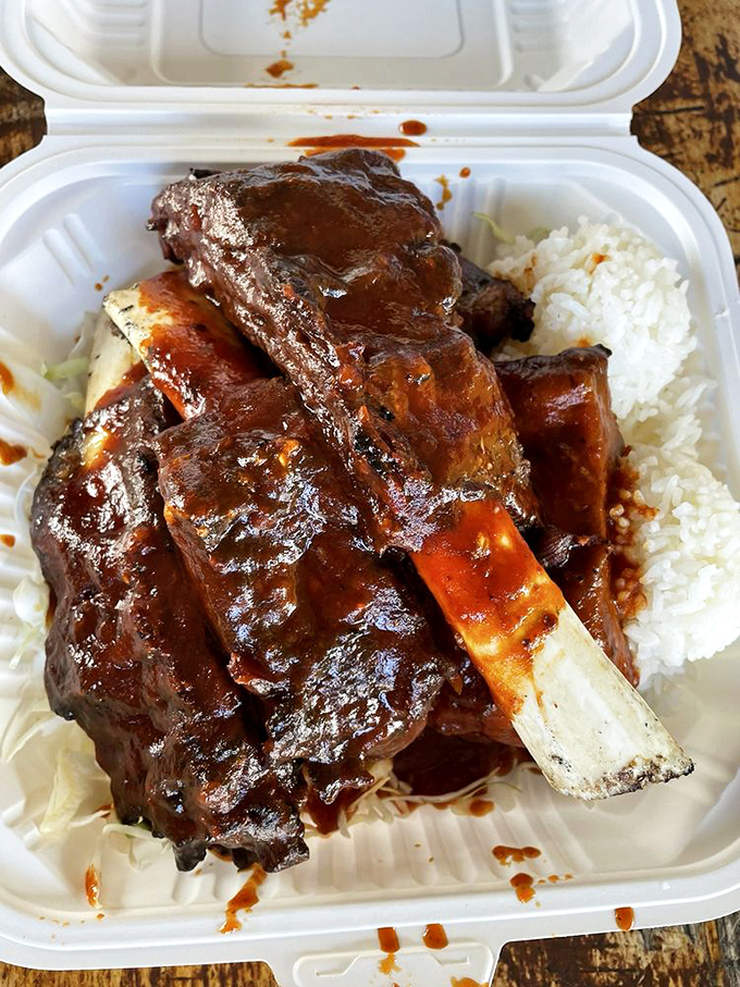 Holy smokes! These ribs aren't just fall-off-the-bone tender; they're practically begging to jump onto your plate. Resistance is futile!