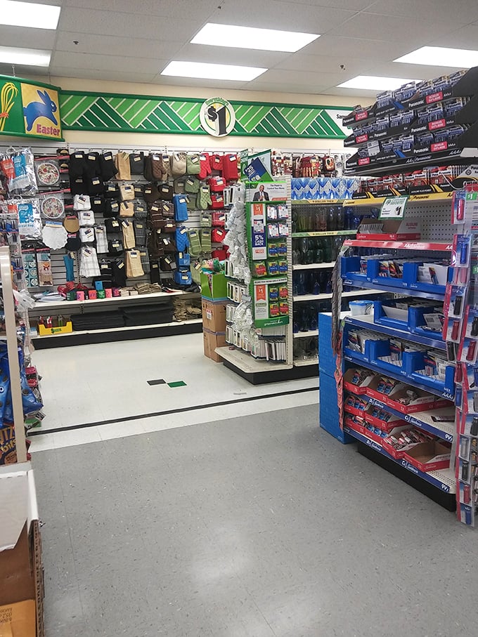 Retail therapy at its most economical—where else can you find kitchen gadgets, party supplies, and office essentials all perfectly arranged?