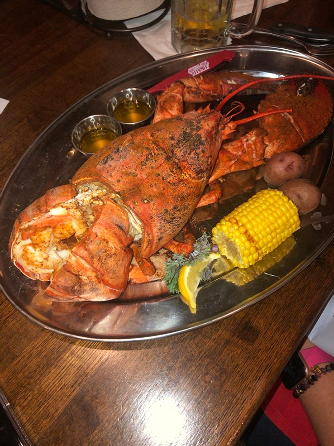Holy crustacean! This lobster's so big, it might need its own ZIP code. Butter not included, but highly recommended.