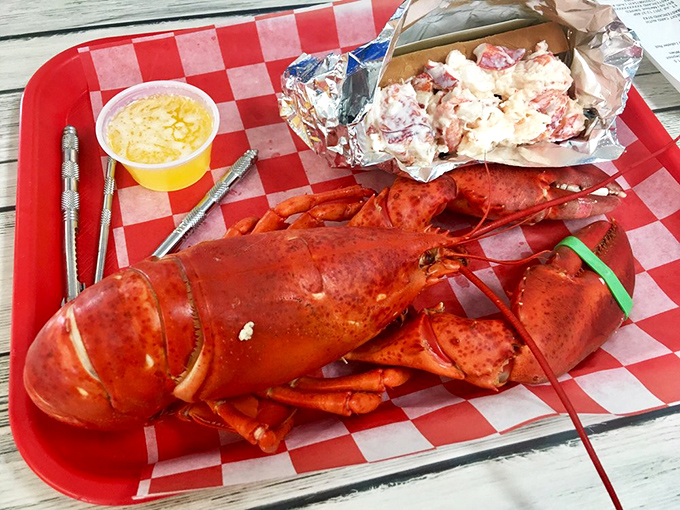 Holy crustacean! This 5-pounder could star in its own Godzilla movie. And that lobster roll? It's the supporting actor that steals the show.