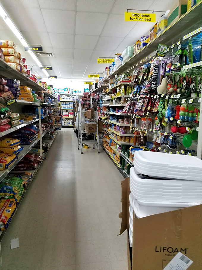 A feast for frugal eyes! These well-stocked shelves are like a Where's Waldo of bargains, with hidden gems waiting to be discovered.